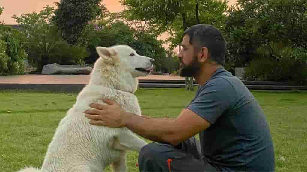 The Top Five Famous Indian Cricketers and Their Pets
